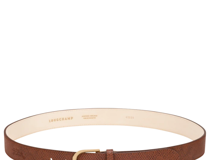 Ladies' belt 95X3 Le Pliage Original | Fall-Winter 2025 Collection ...